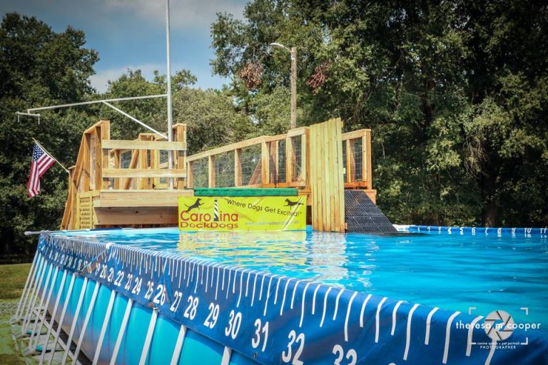 DockDogs Sanctioned Facility Opens in North Carolina! - Carolina DockDogs